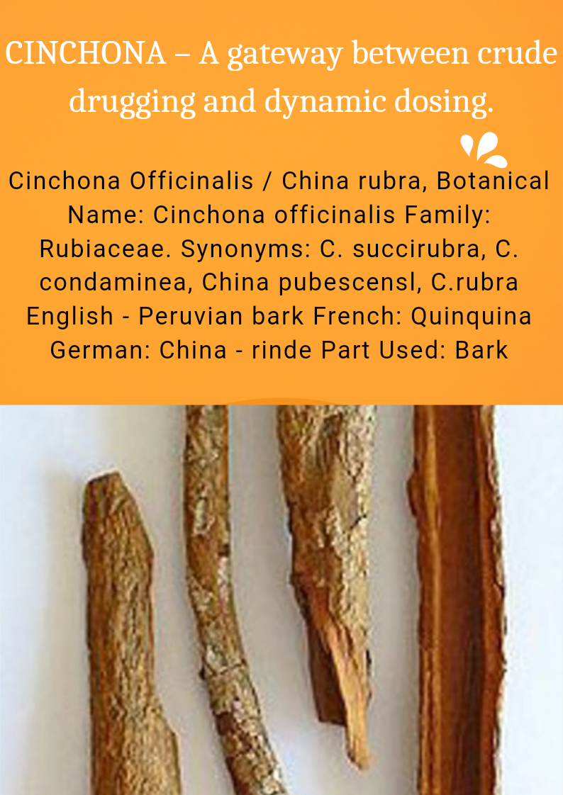 CINCHONA - A gateway between crude drugging and dynamic dosing.